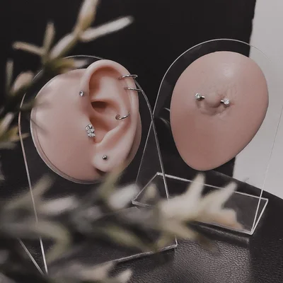 Piercing opleiding in Haarlem | Werkgelegenheid. Diploma. | VeAn Tattoo