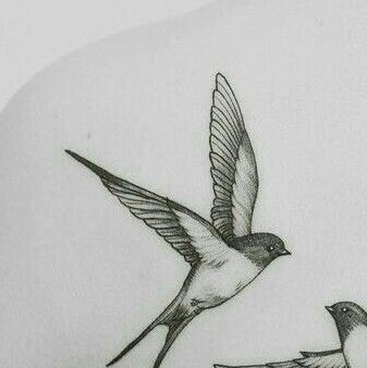 Top 45+Zwaluw tatoeage: Ideeën, Betekenis - VeAn Tattoo