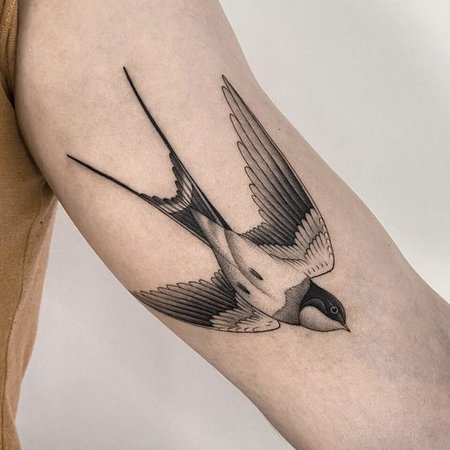Top 45+Zwaluw tatoeage: Ideeën, Betekenis - VeAn Tattoo